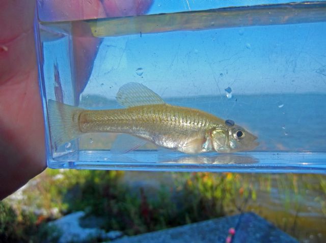 Soortenjagers - Foto's