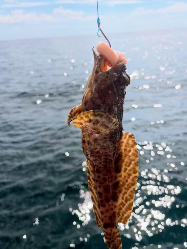 Soortenjagers - Foto's