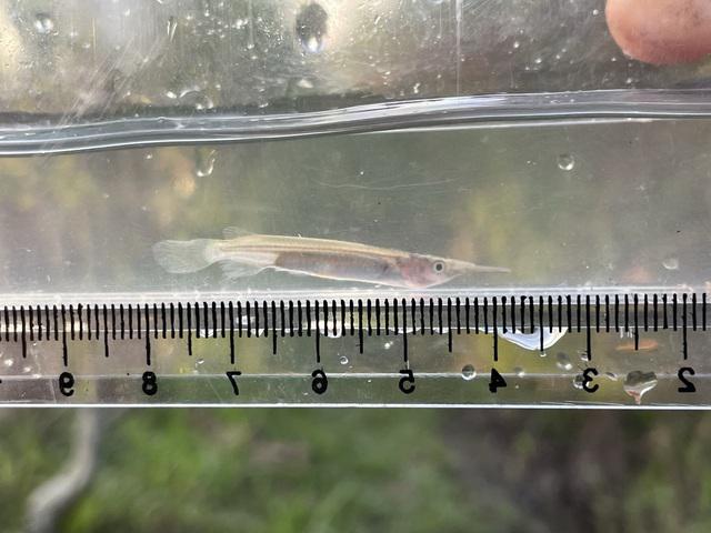 Soortenjagers - Foto's