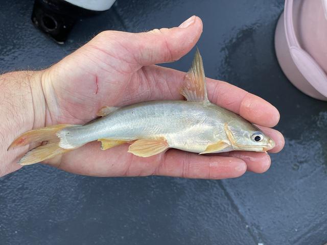 Soortenjagers - Foto's