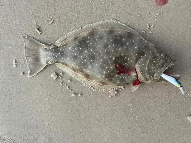 Soortenjagers - Foto's