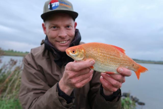 Soortenjagers - Foto's